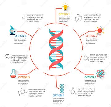 DNA structure infographic stock vector. Illustration of life - 54284760