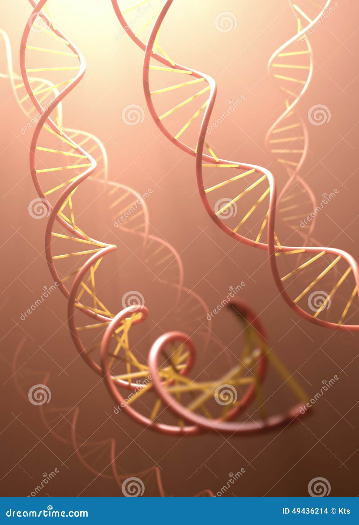 DNA Structure stock illustration. Illustration of medical - 49436214