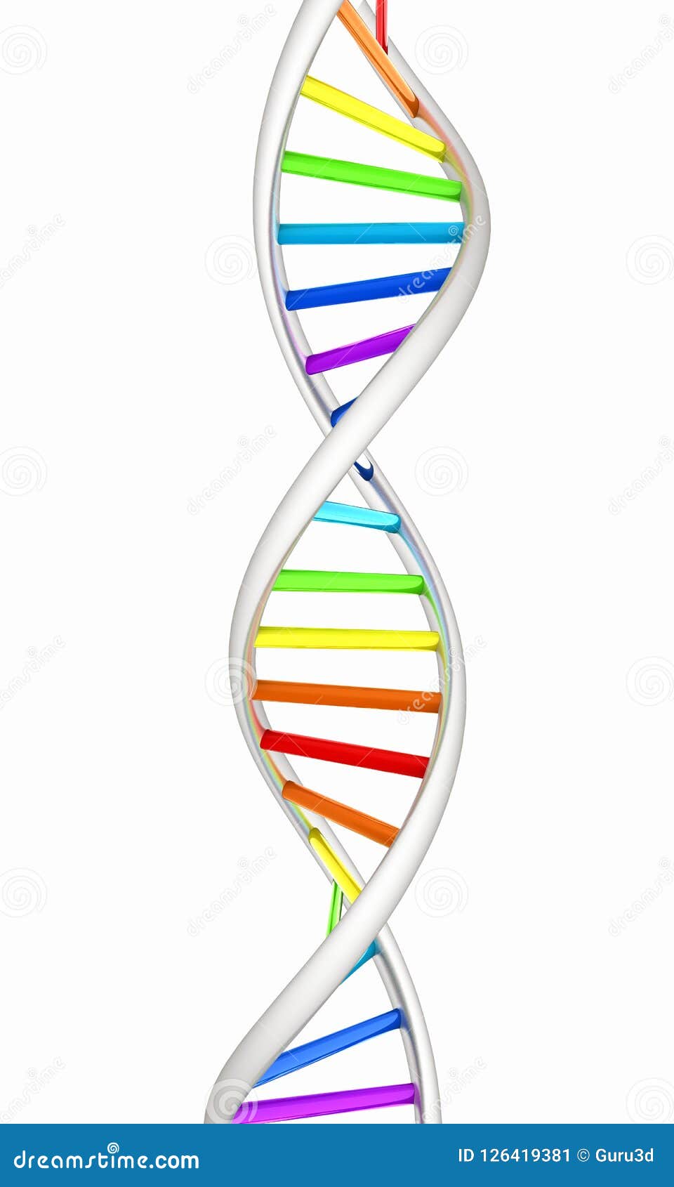 DNA Structure Model on White Stock Illustration - Illustration of ...