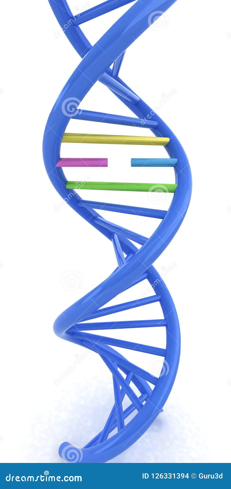 DNA Structure Model on White Stock Illustration - Illustration of ...