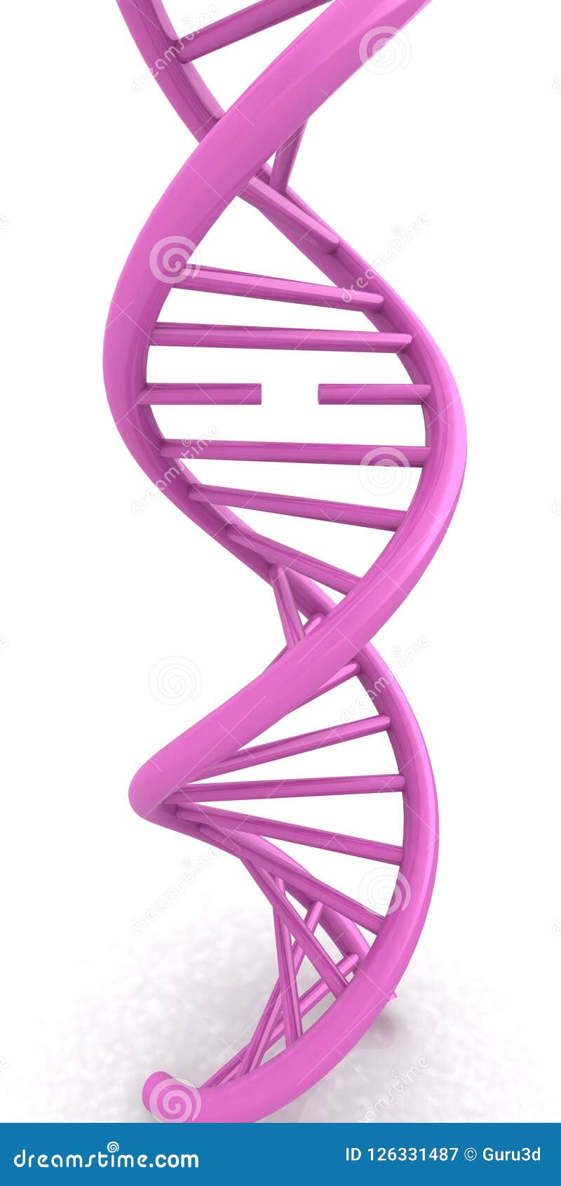 DNA Structure Model on White Stock Illustration - Illustration of ...