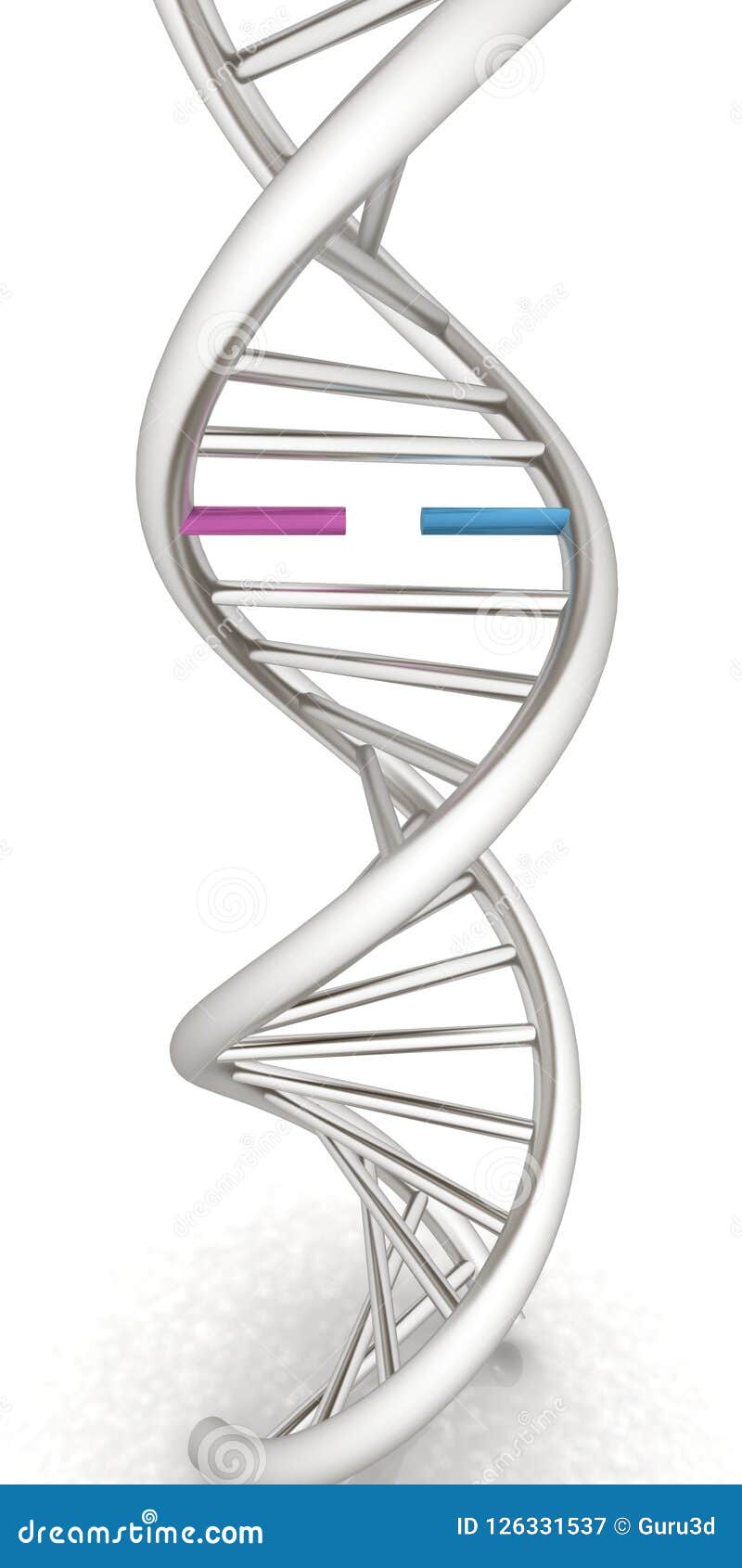 DNA Structure Model on White Stock Illustration - Illustration of ...
