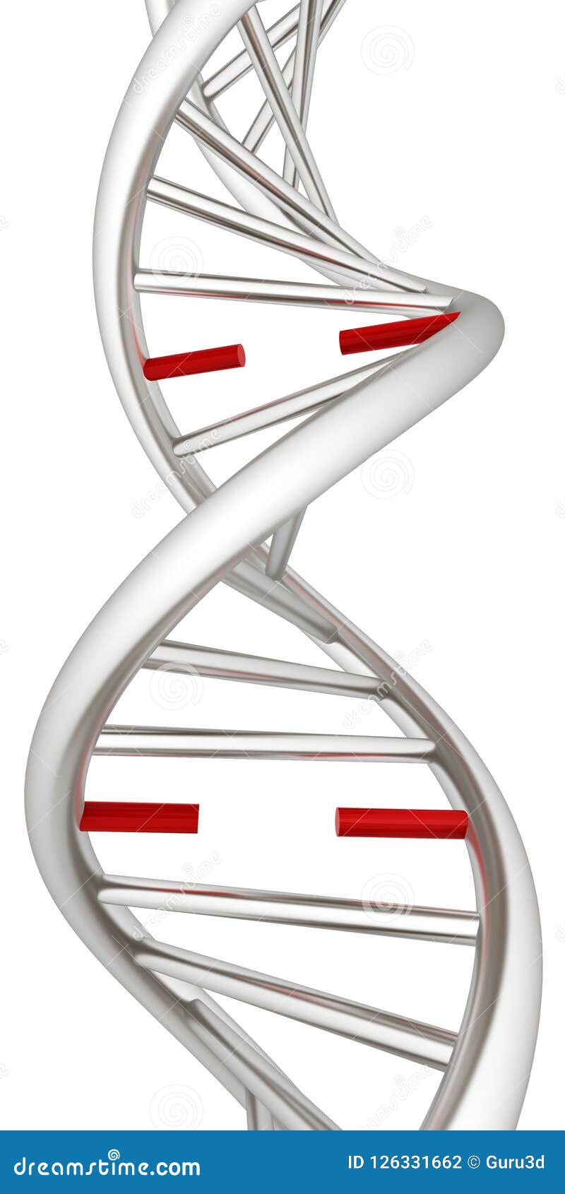 DNA Structure Model on White Stock Illustration - Illustration of helix ...