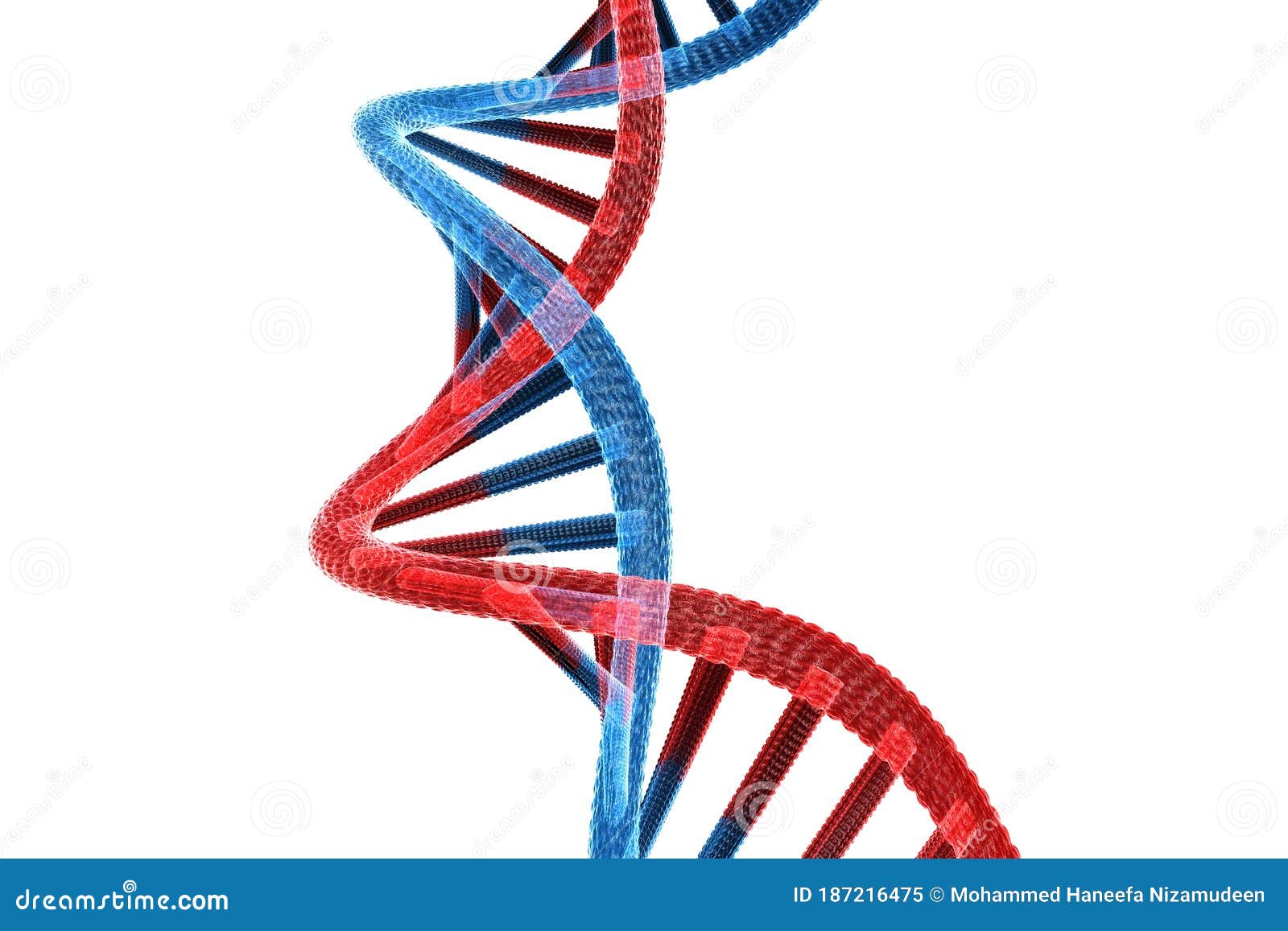 DNA structure stock illustration. Illustration of microscopic - 187216475