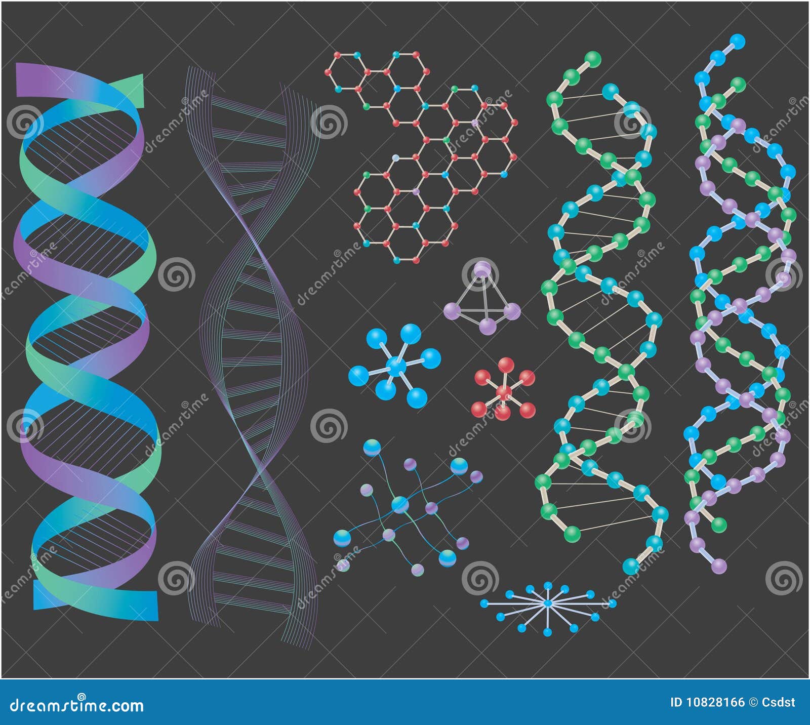 DNA Structures stock vector. Illustration of graphic - 10828166