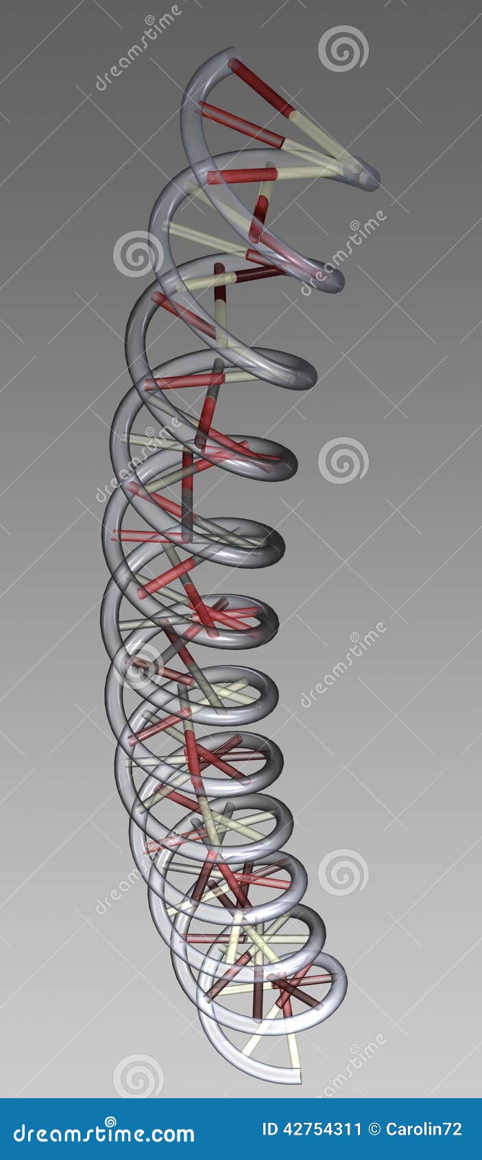 DNA stock illustration. Illustration of structure, stylized - 42754311
