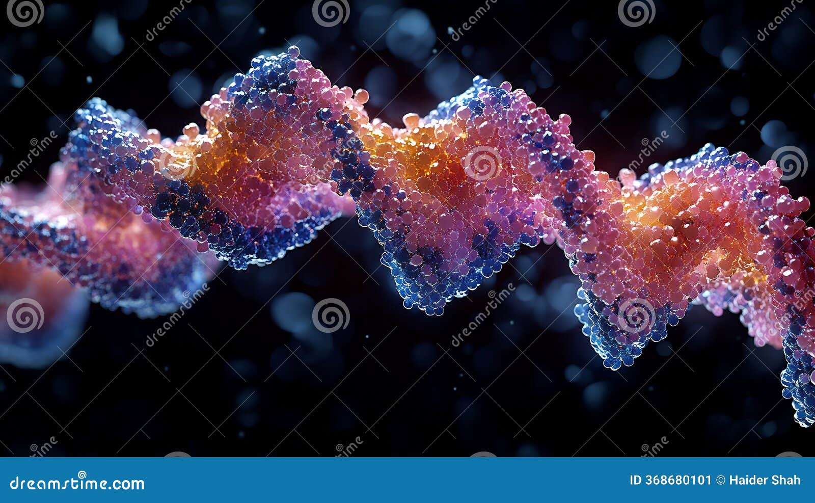 Bacterial Chromosome Supercoiling Visualized Gyrase Enzymes Regulating ...
