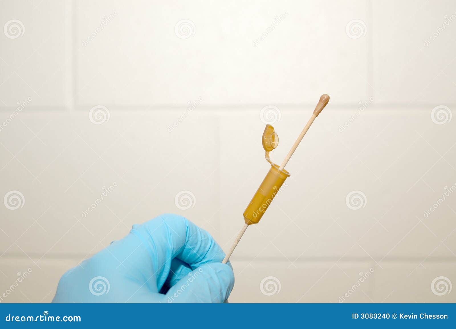DNA swab stock photo. Image of evidence, crime, blood - 3080240