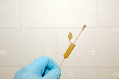 DNA swab stock photo. Image of evidence, crime, blood - 3080240