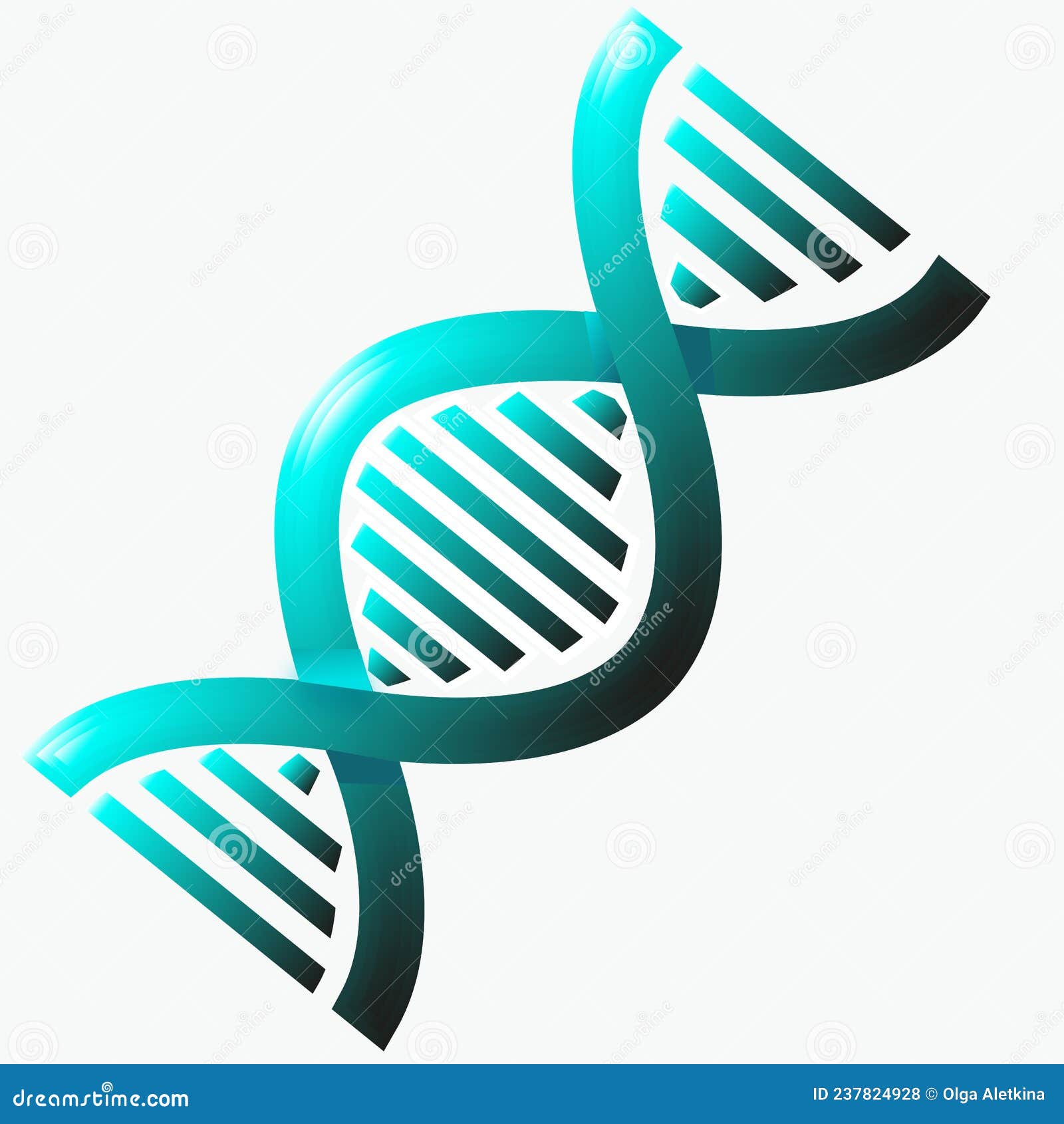 DNA Symbol Strand Isolated on White Background Stock Vector ...