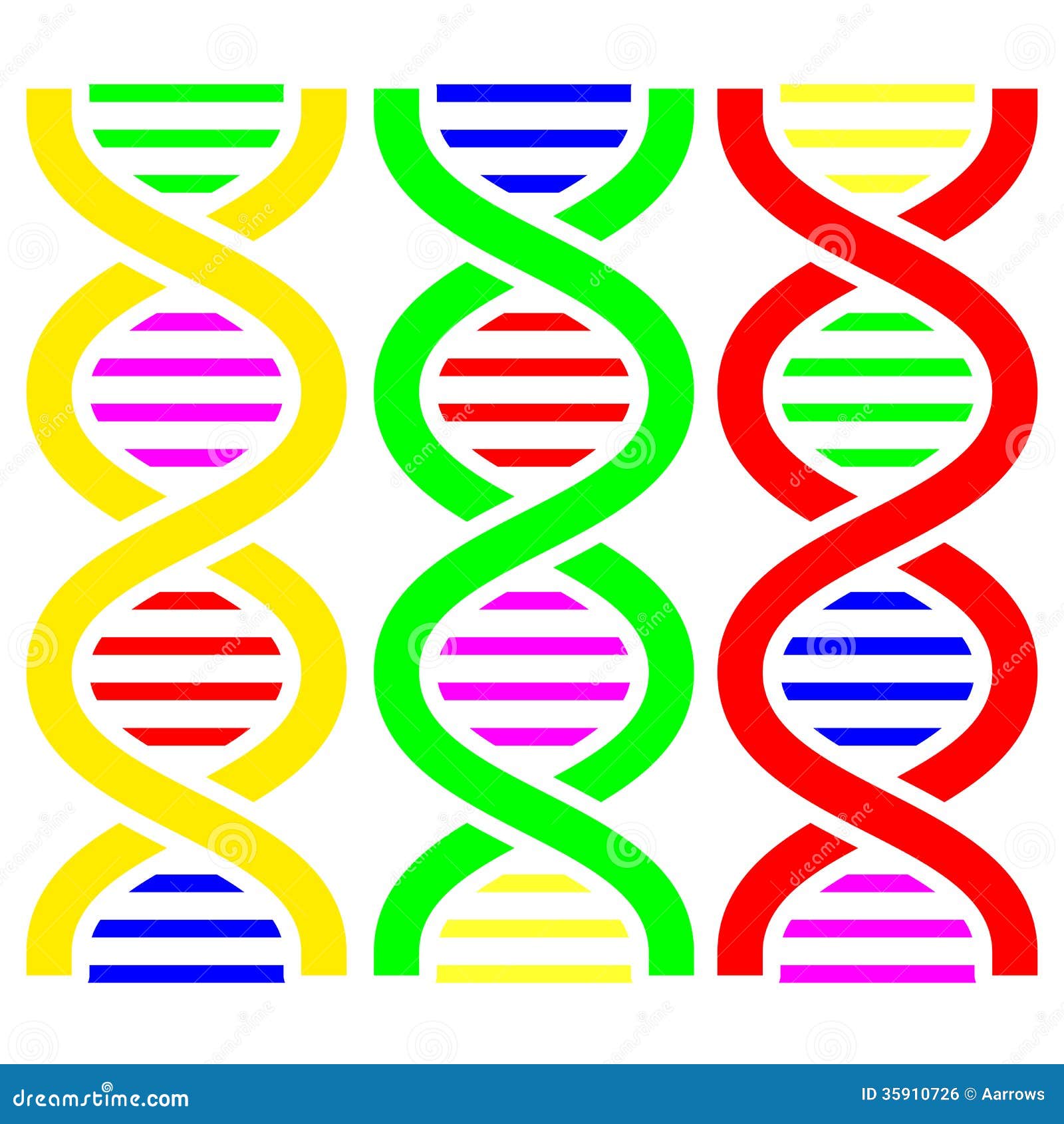 DNA Symbols stock vector. Illustration of structure, chromosome - 35910726