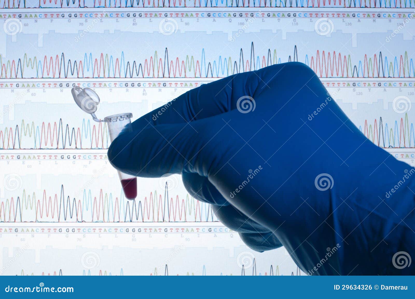 DNA test stock photo. Image of genetic, science, labware - 29634326