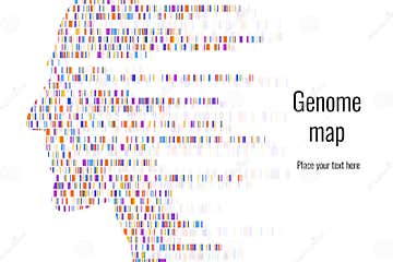 Dna Test Infographic. Vector Illustration. Genome Sequence Map ...