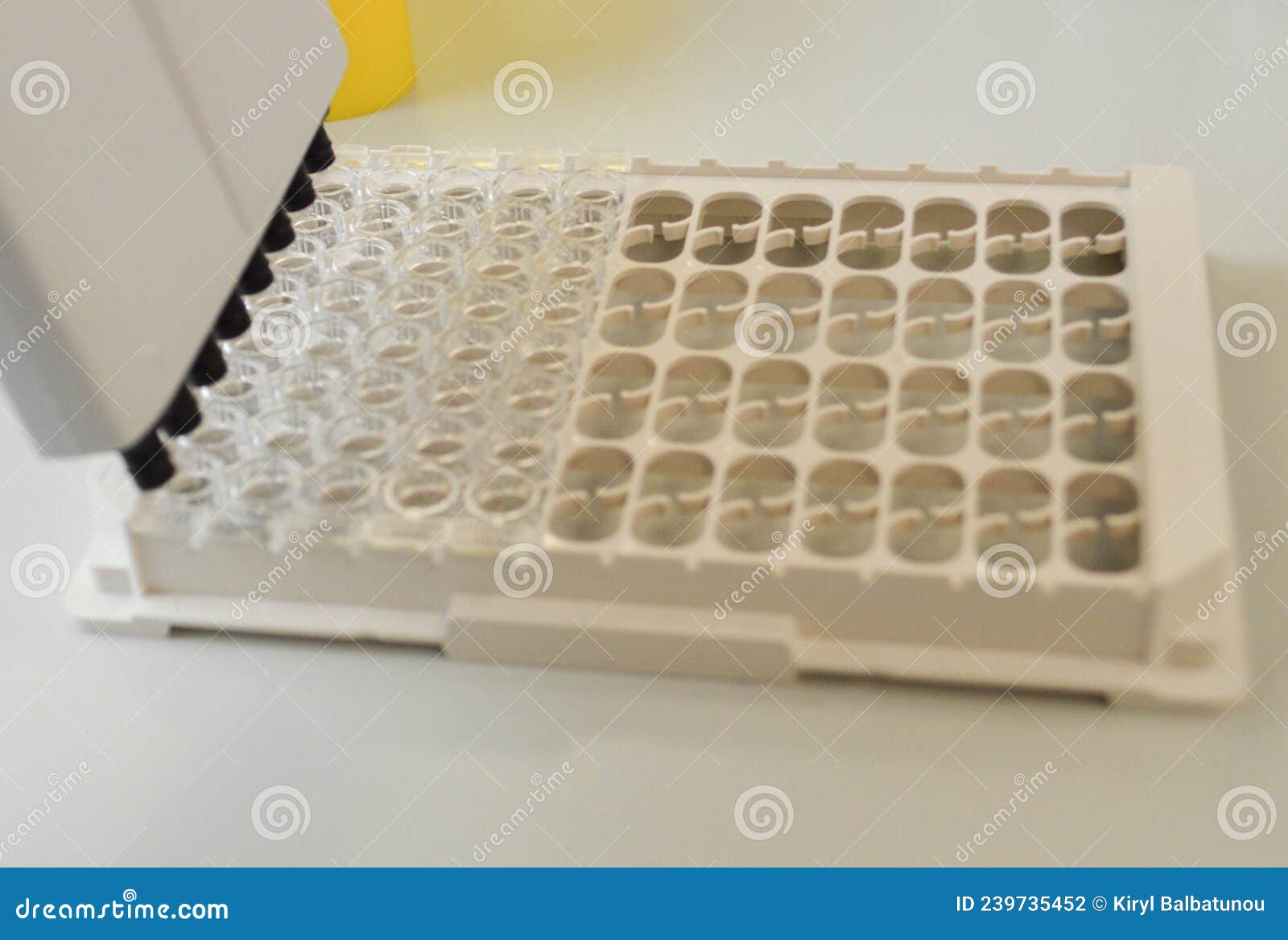Dna Test in the Lab. a Laboratory Technician with a Dispenser in His ...