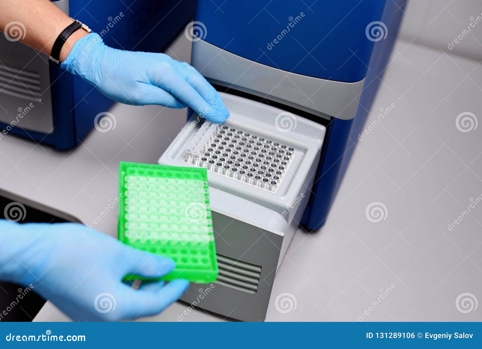 Dna Test in the Lab. the Technician Inserts the Test Tubes into the Dna ...