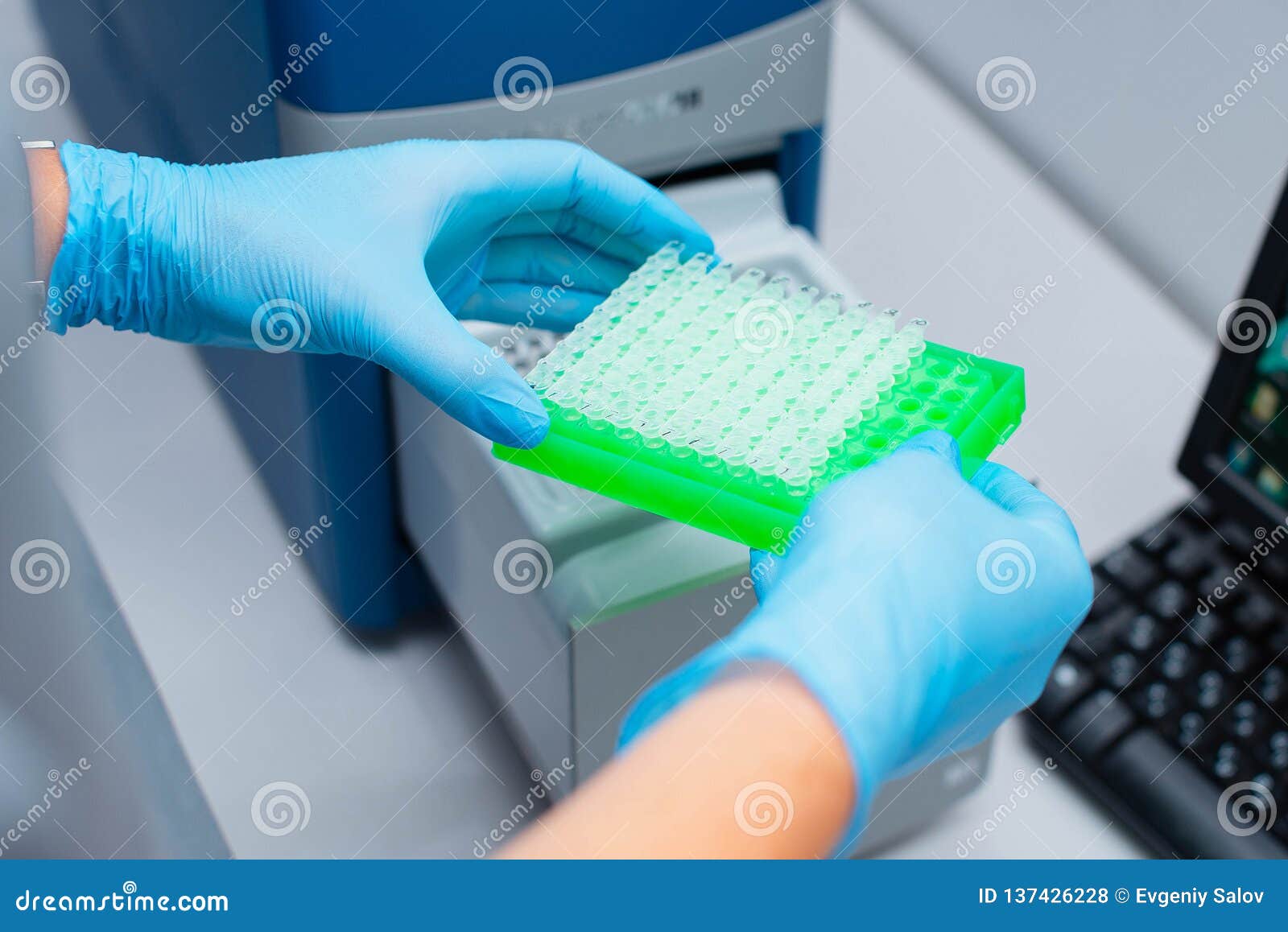 Dna Test in the Lab. the Technician Inserts the Test Tubes into the Dna ...