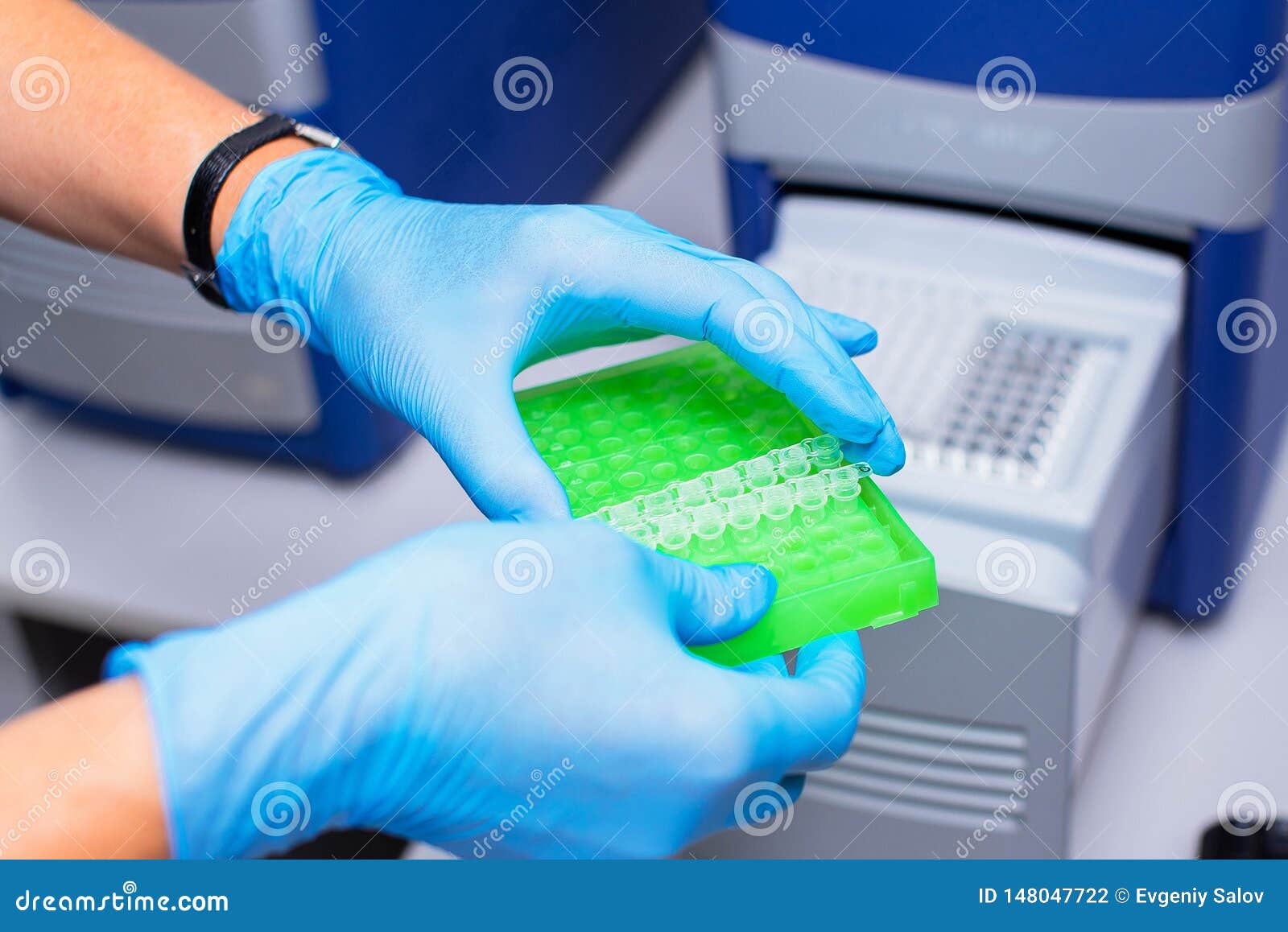 Dna Test in the Lab. the Technician Inserts the Test Tubes into the Dna ...