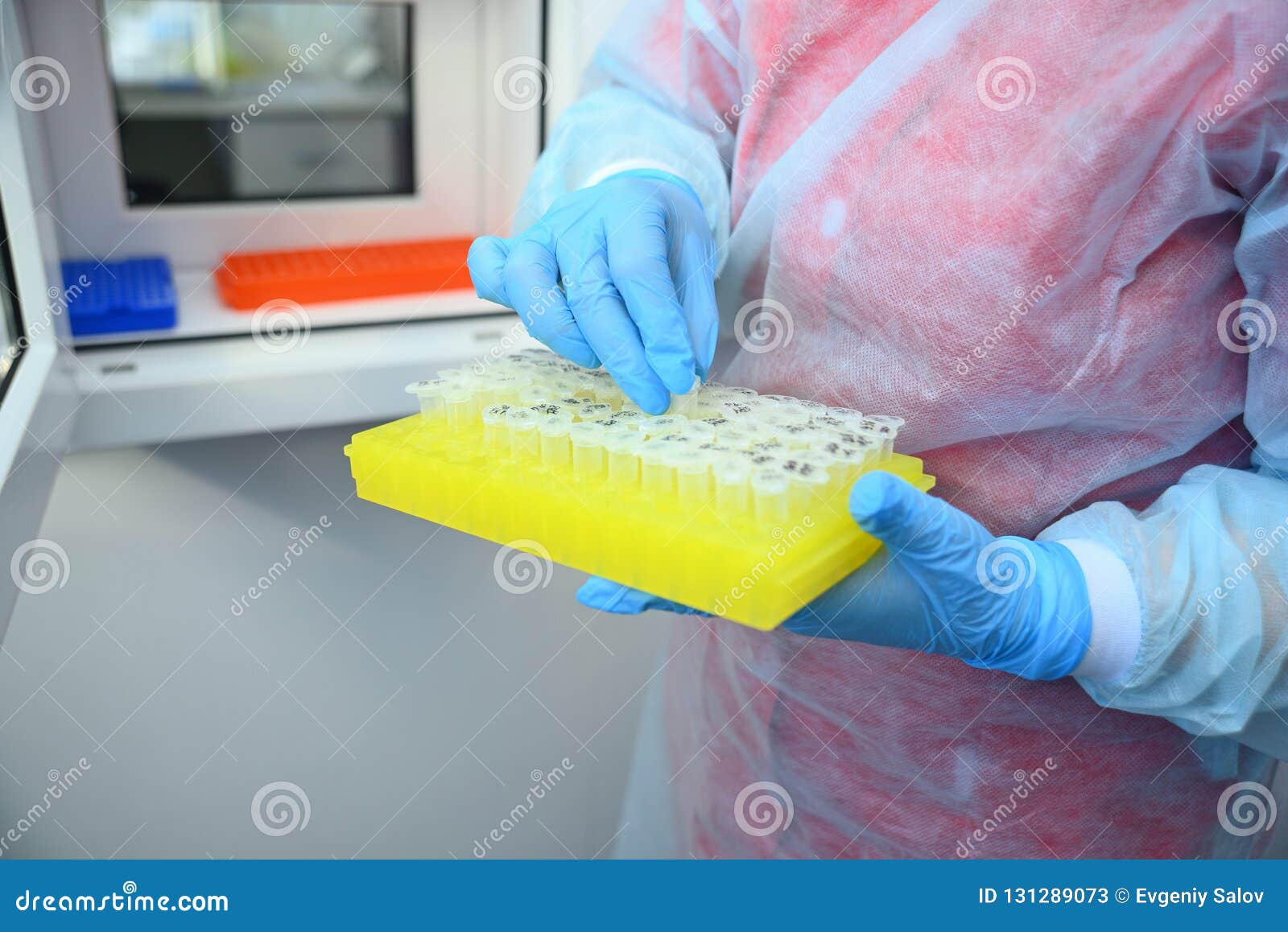 Dna Test in the Lab. Test Tubes with Biomaterials in the Hands of a ...