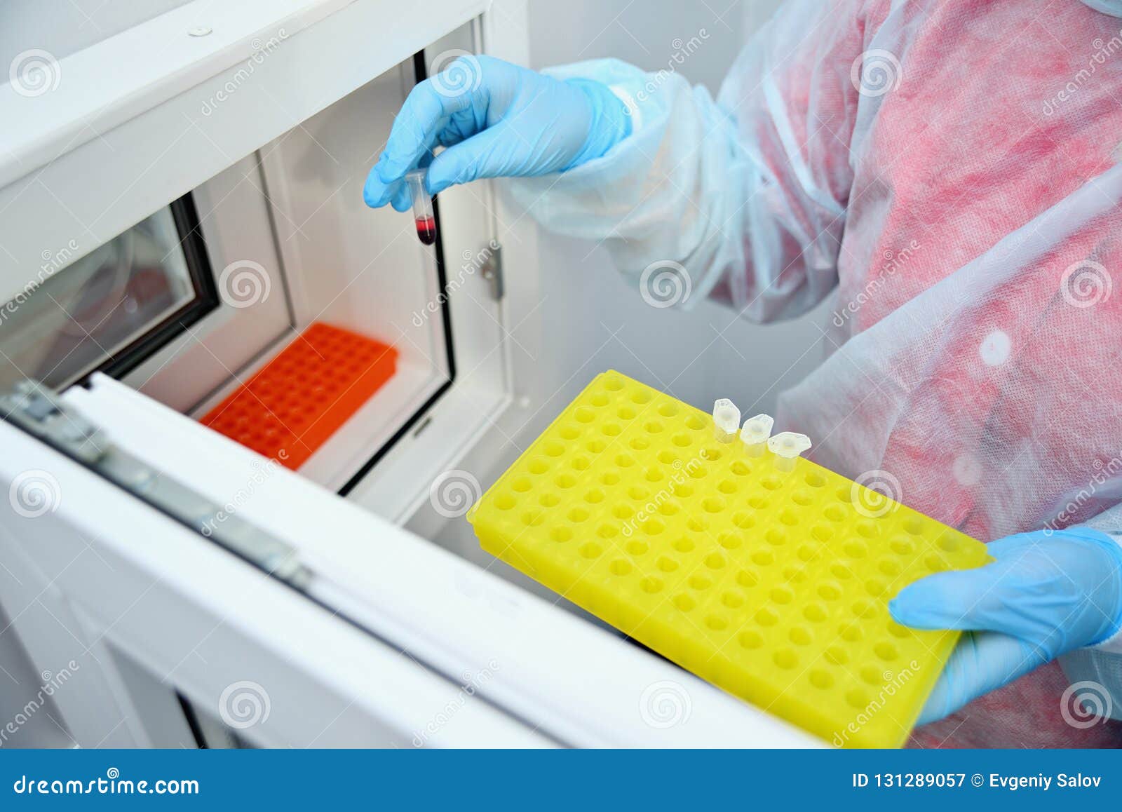 Dna Test in the Lab. Test Tubes with Biomaterials in the Hands of a ...
