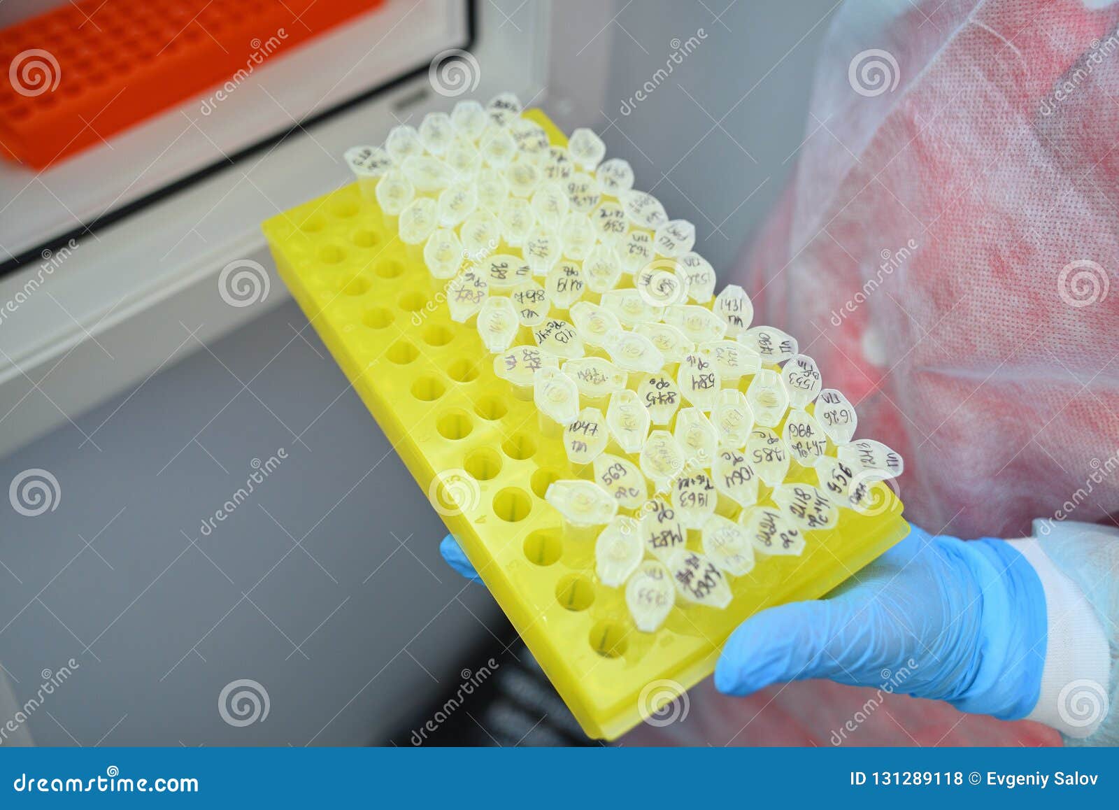 Dna Test in the Lab. Test Tubes with Biomaterials in the Hands of a ...