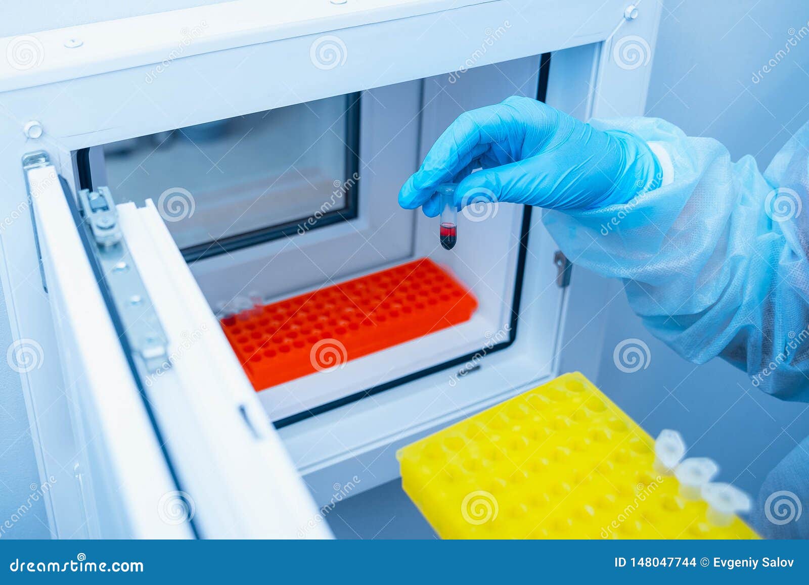 Dna Test in the Lab. Test Tubes with Biomaterials in the Hands of a ...