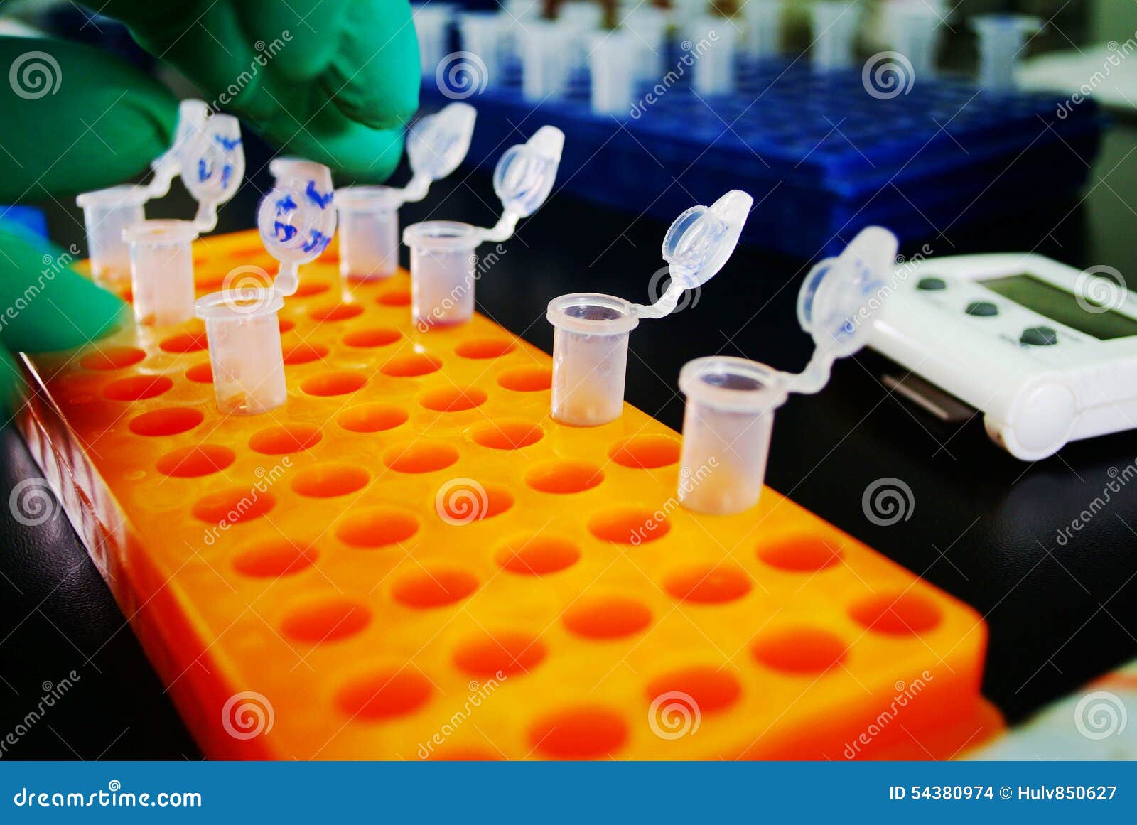 DNA in test tube stock photo. Image of analysis, analyze - 54380974