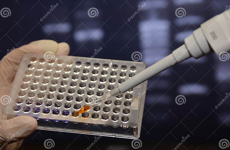 DNA Testing in the Laboratory. Stock Photo - Image of scientific, dose ...