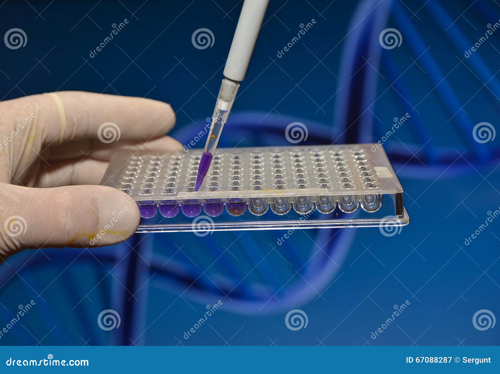 DNA Testing in the Laboratory. Stock Image - Image of chemistry ...
