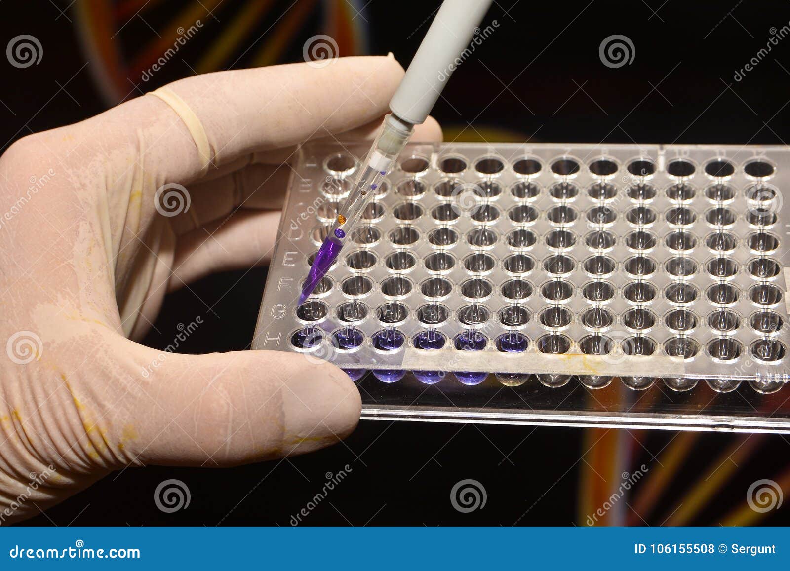 DNA Testing in the Laboratory. Stock Photo - Image of protection ...