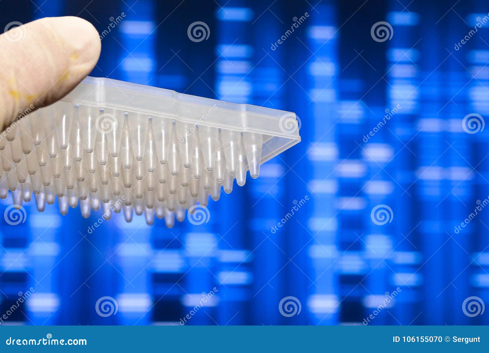 DNA Testing in the Laboratory. Stock Photo - Image of amplification ...