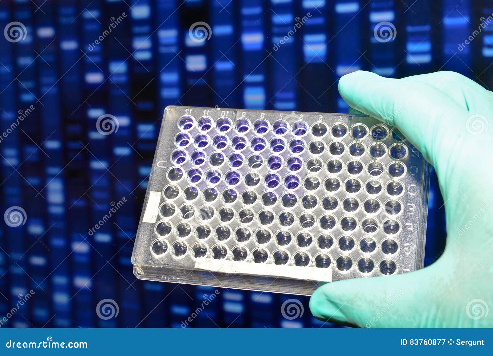 DNA Testing in the Laboratory. Stock Image - Image of determination ...