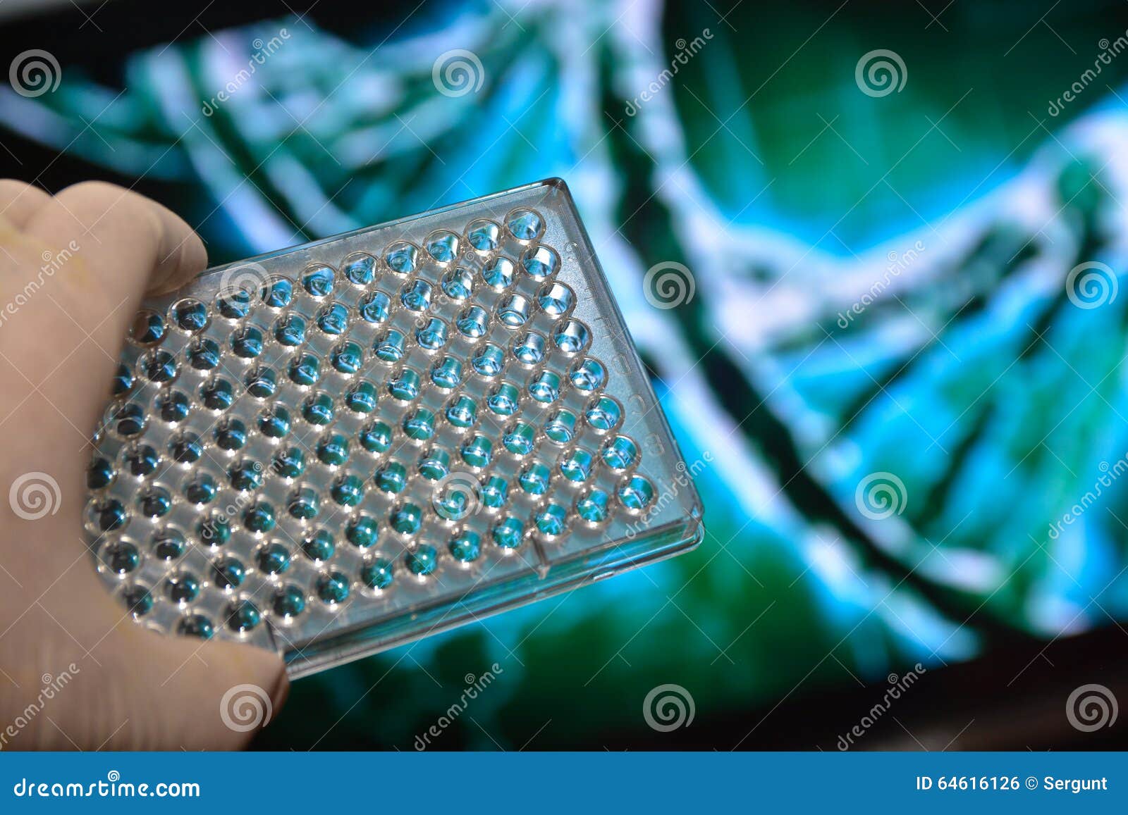 The DNA testing. stock photo. Image of science, development - 64616126