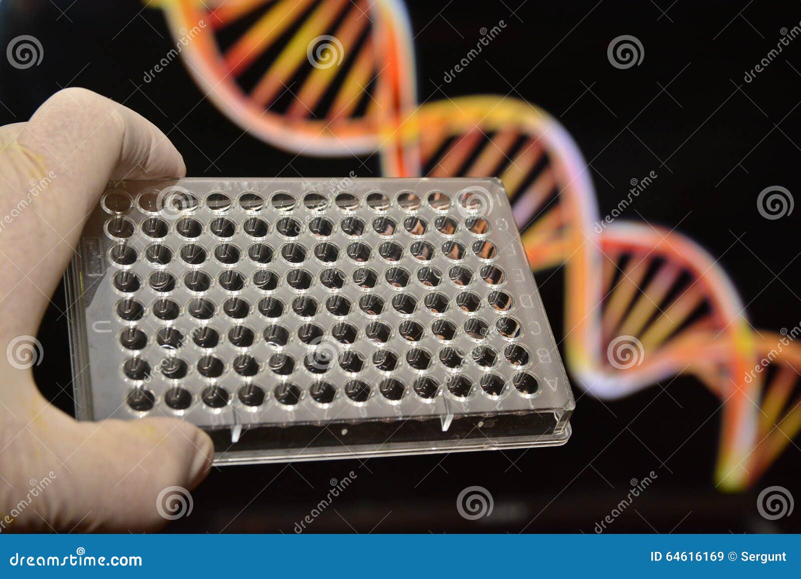 The DNA testing. stock image. Image of molecular, laboratory - 64616169
