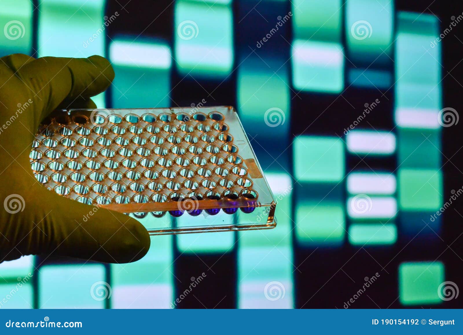 DNA Testing in a Scientific Laboratory Stock Photo - Image of genetics ...