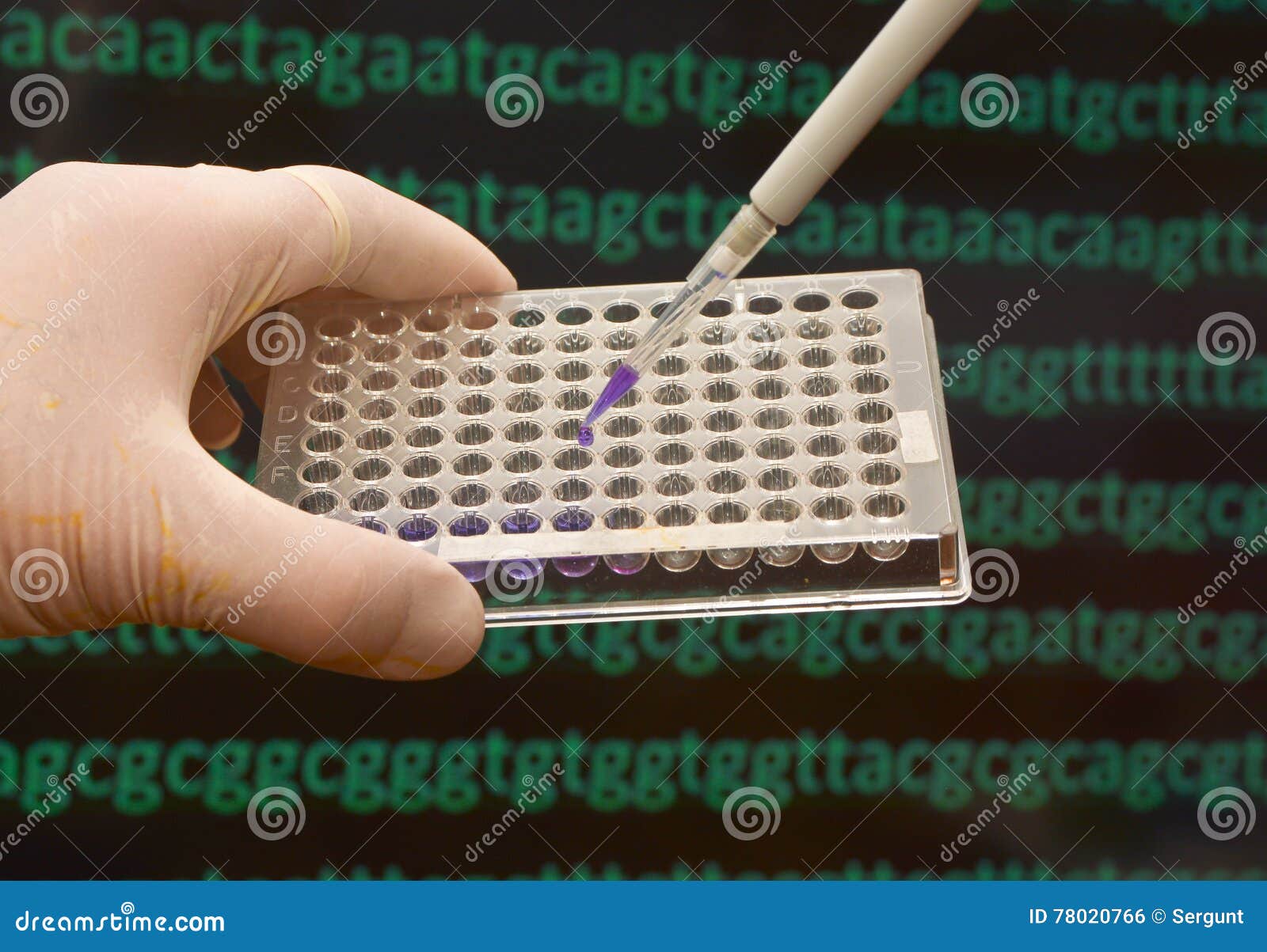 DNA Testing in a Scientific Laboratory. Stock Photo - Image of genetic ...