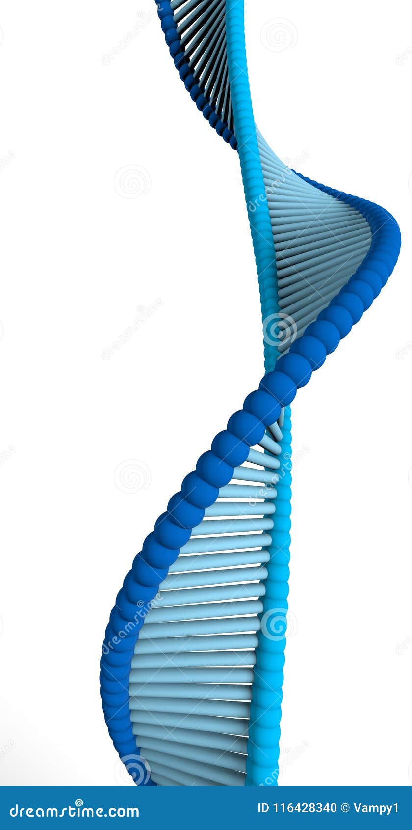 DNA is a Thread-like Chain of Nucleotides Carrying the Genetic ...