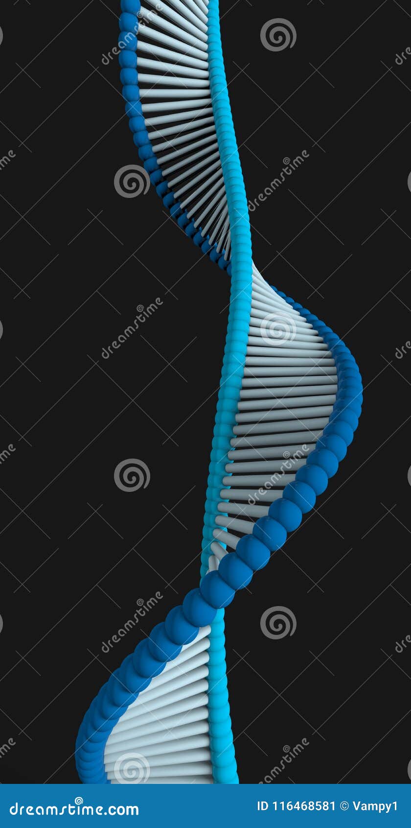 DNA Is A Thread-like Chain Of Nucleotides Carrying The Genetic ...