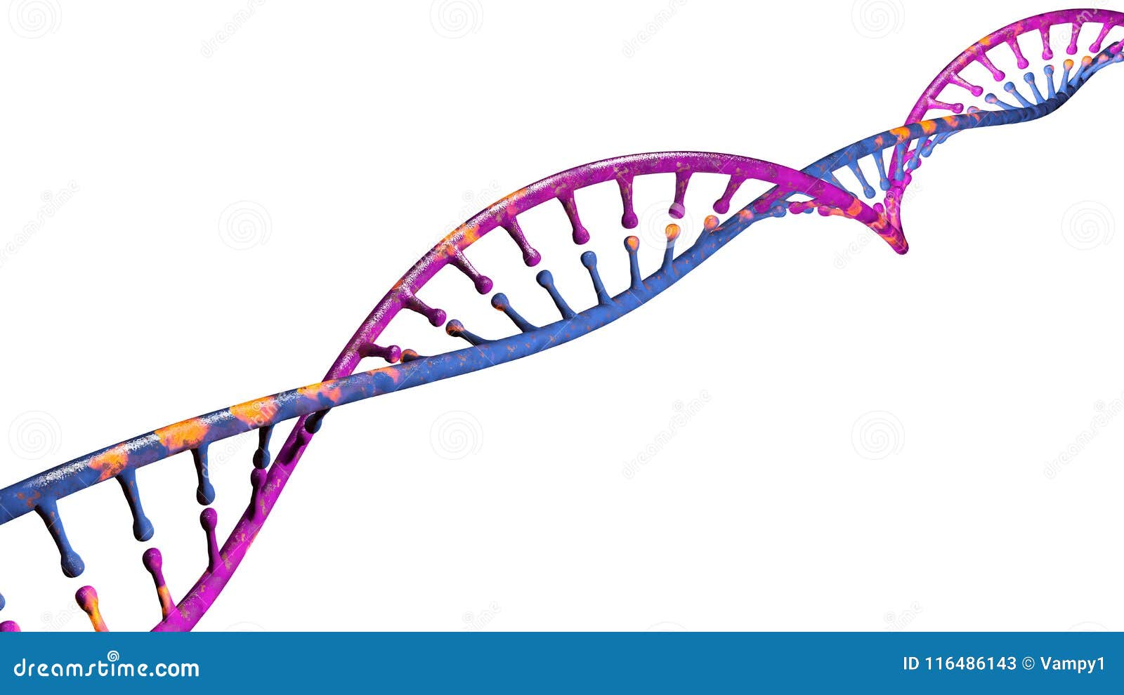 DNA is a Thread-like Chain of Nucleotides Carrying the Genetic ...
