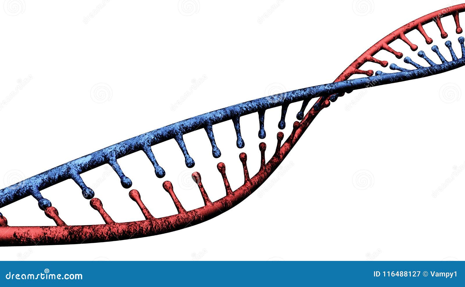 DNA is a Thread-like Chain of Nucleotides Carrying the Genetic ...