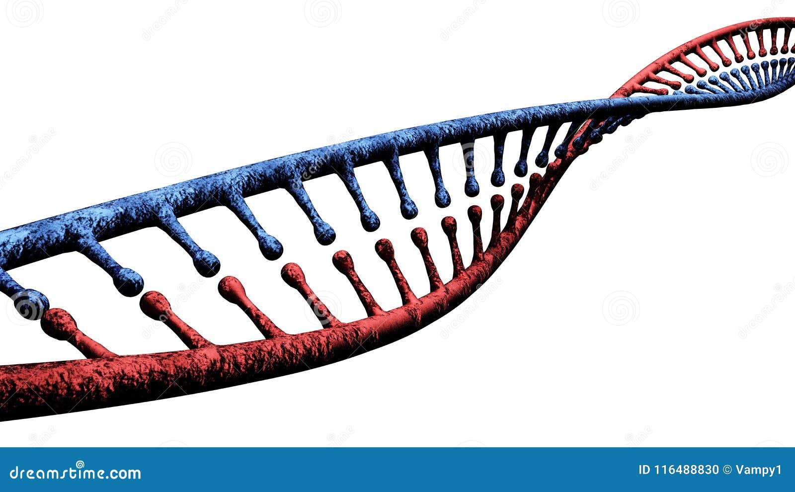 DNA is a Thread-like Chain of Nucleotides Carrying the Genetic ...