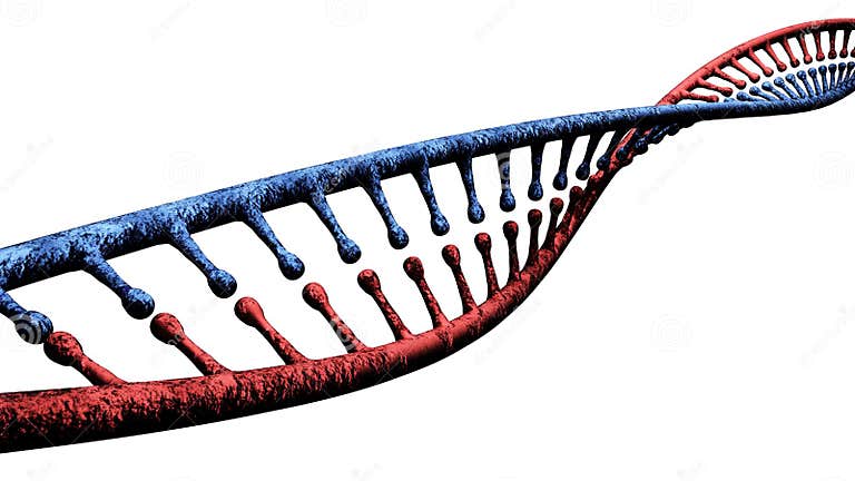 DNA is a Thread-like Chain of Nucleotides Carrying the Genetic ...
