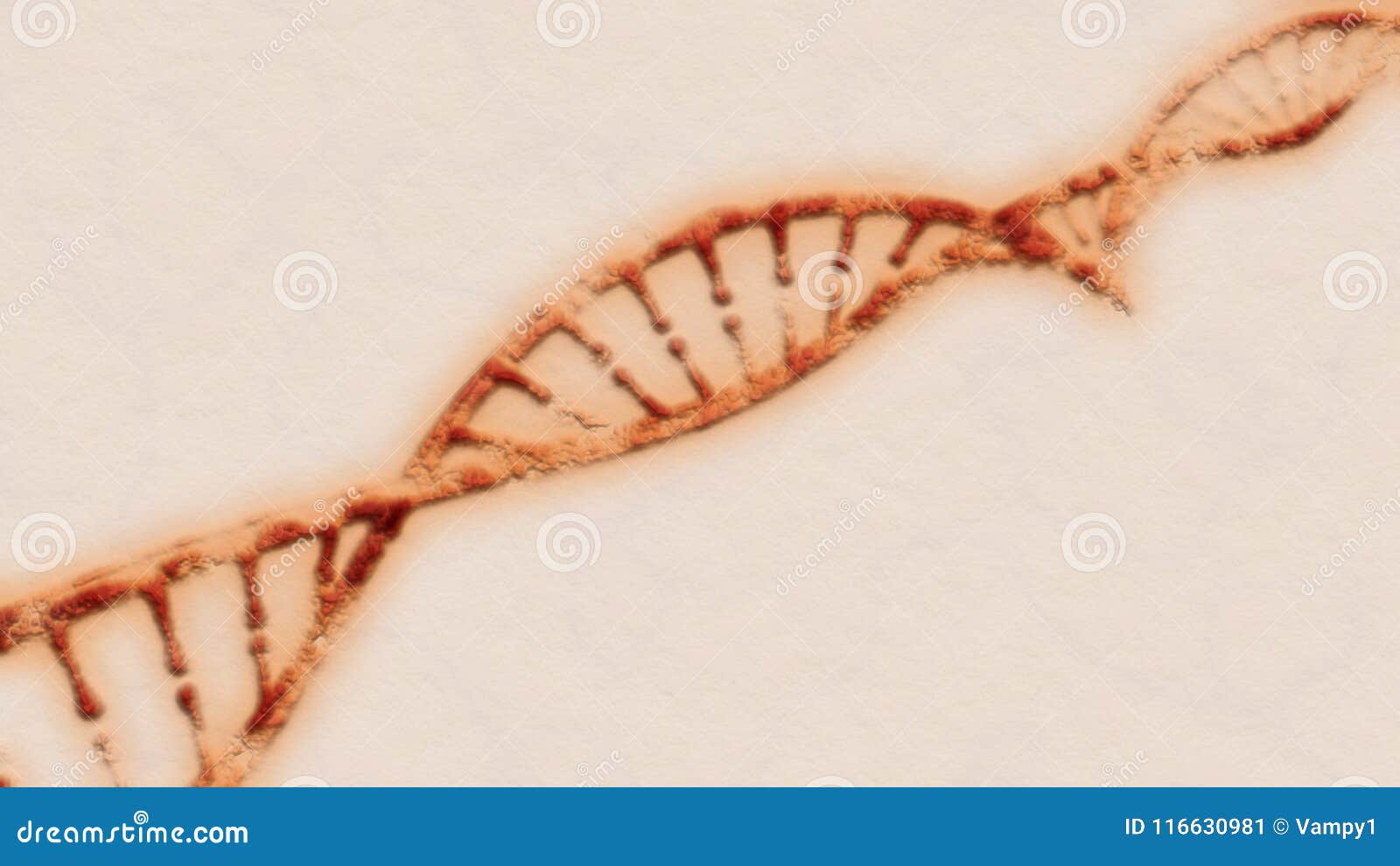 DNA is a Thread-like Chain of Nucleotides Carrying the Genetic ...