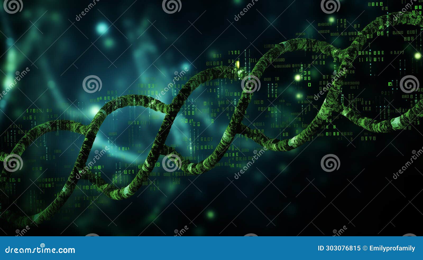 Human Dna Strands Double Helix And Female And Male Body 3d Rendering ...
