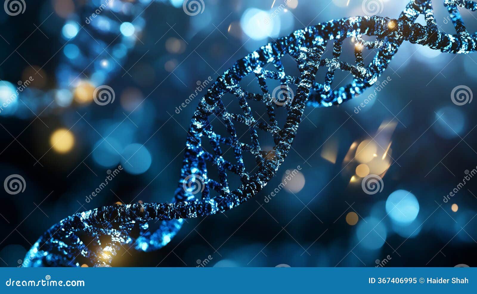 Dna Unwinding In At-rich Regions Due To Lower Melting Temperatures ...