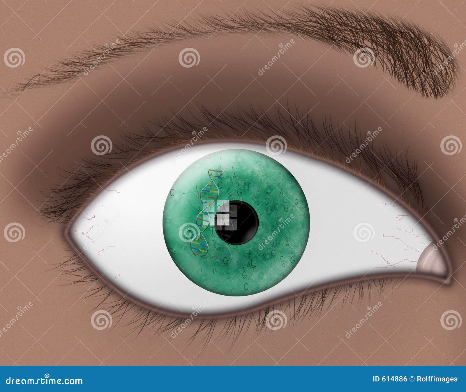DNA Van De Kleur Van Het Oog Stock Illustratie - Illustration of ...