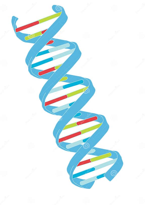 DNA vector stock vector. Illustration of science, cells - 4249603