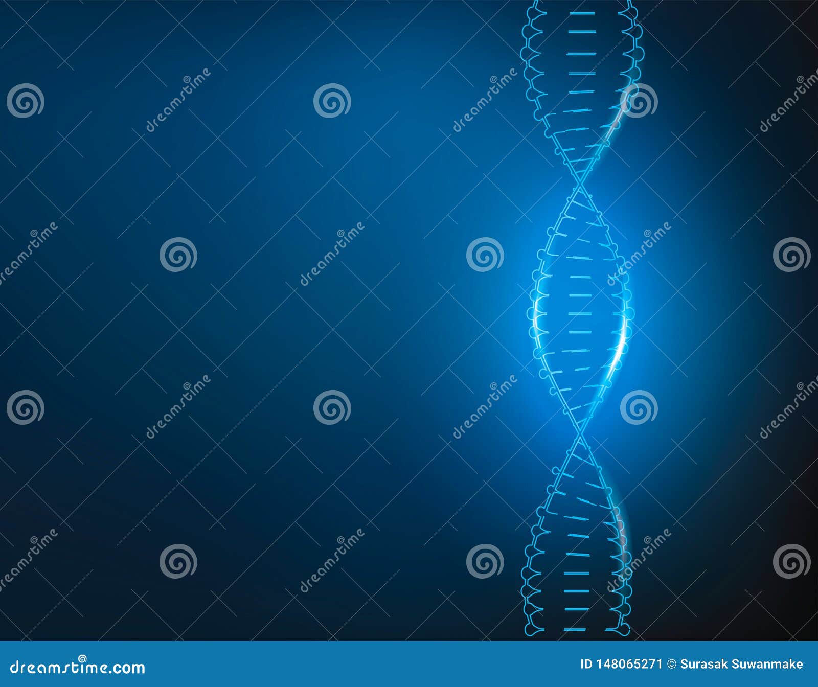 Dna Vector Blue Line Blue Background Stock Illustration - Illustration ...