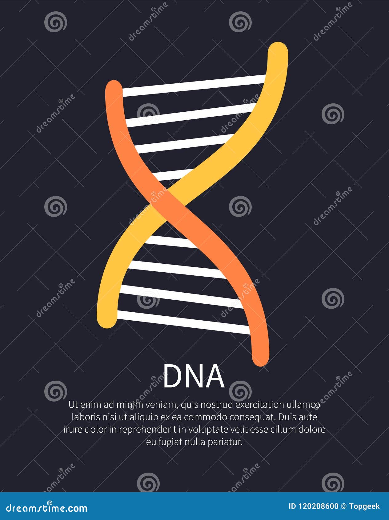 DNA Helix Colorful Genes Chromosomes DNA Sequence, DNA Structure With ...