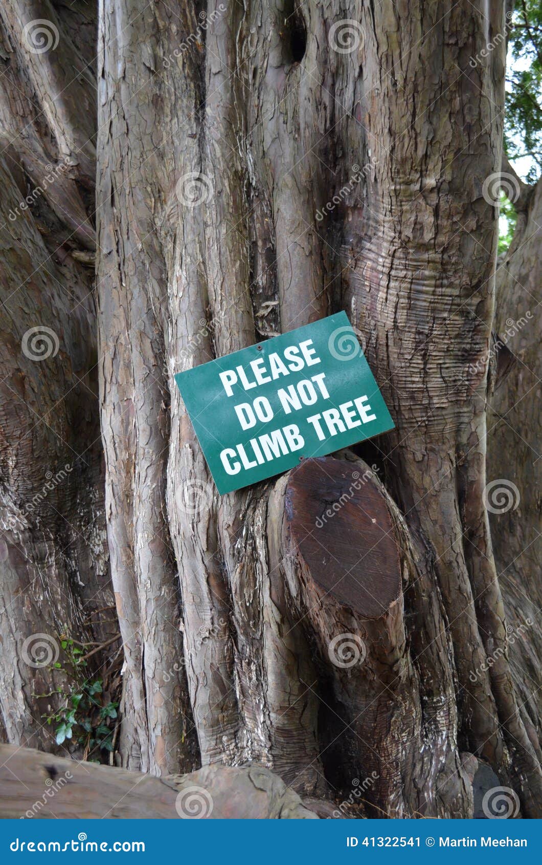 Do not climb sign. stock image. Image of please, protect - 41322541