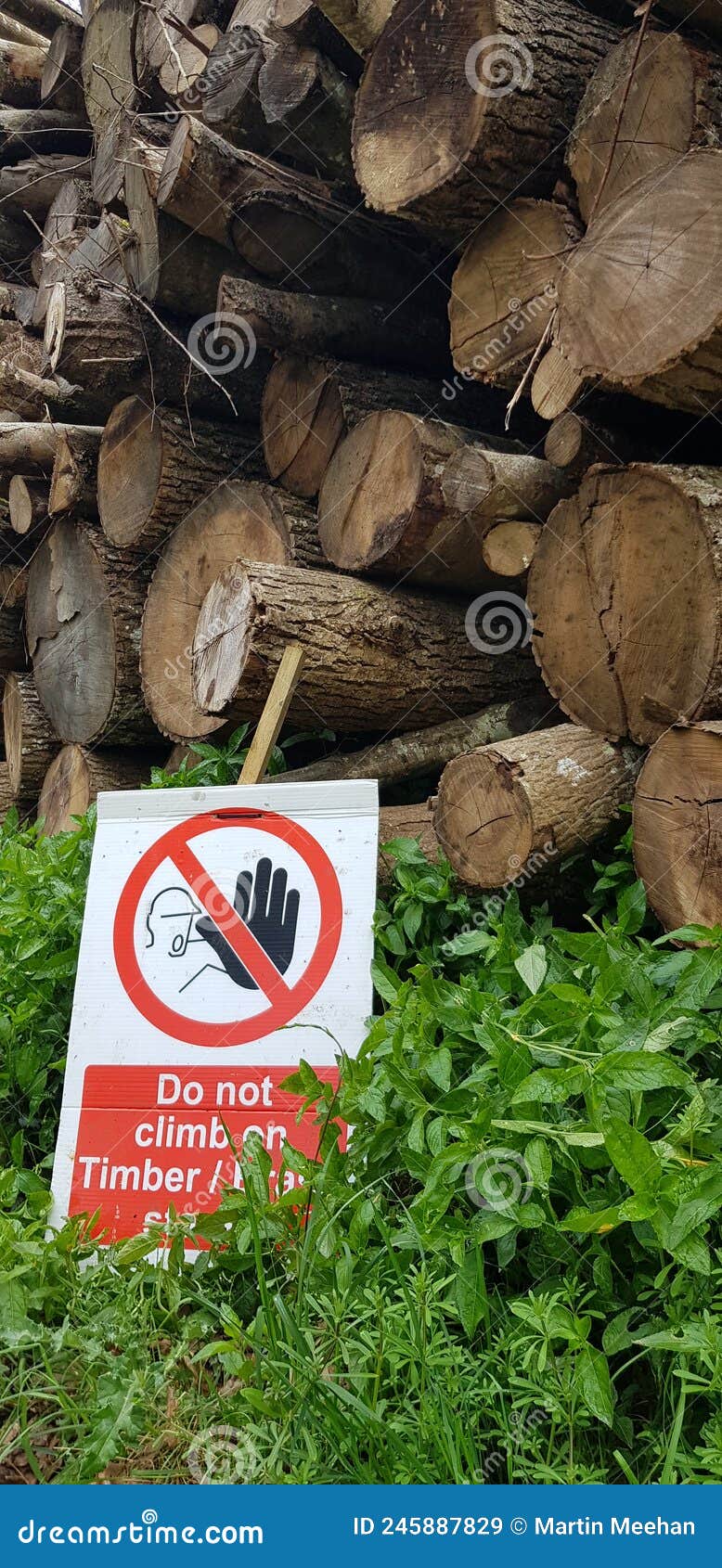 Do Not Climb on Timber Stack. Stock Image - Image of forest, nature ...